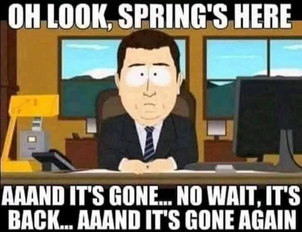 Pictures say the funniest things - open this thread with caution ...