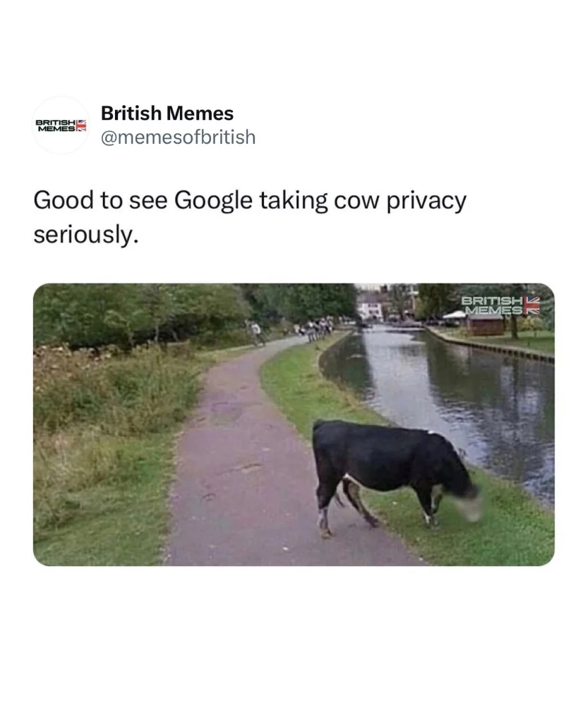 Pictures say the funniest things - open this thread with caution ...